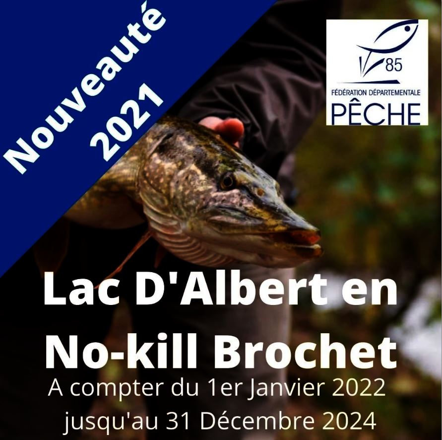 Lac Dalbert En No Kill Brochet Pour 3 Ans Fédération De La Pêche 85