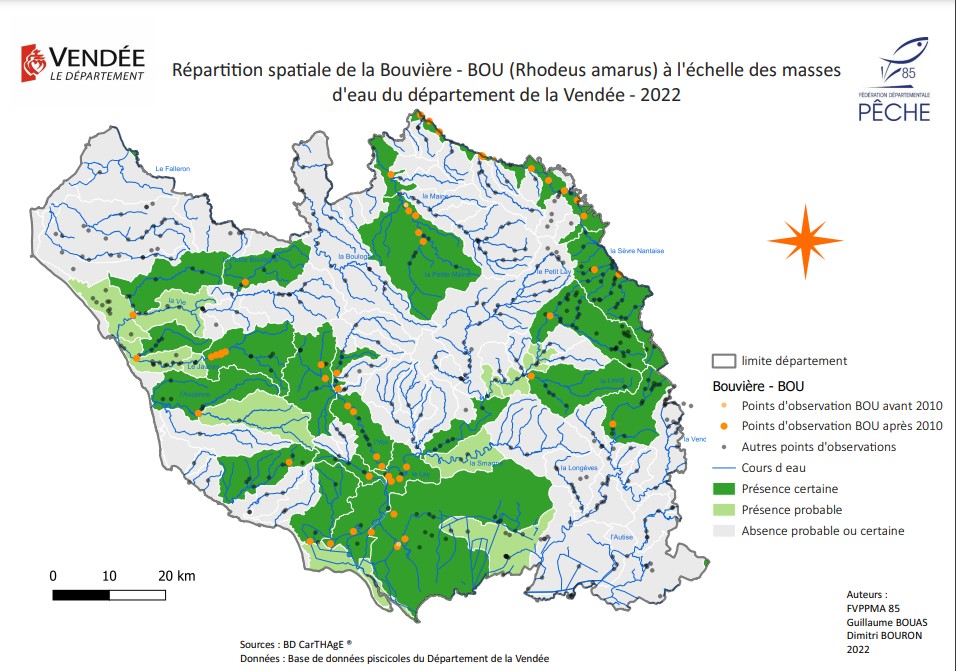 BOUVIERE – Rhodeus amarus | Fédération de la pêche 85