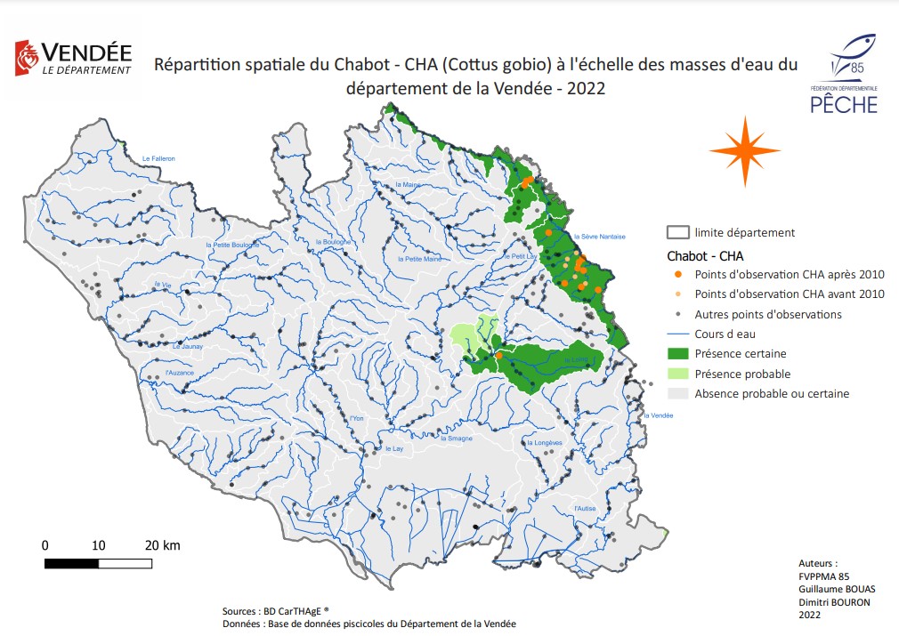 CHABOT – Cottus gobio | Fédération de la pêche 85
