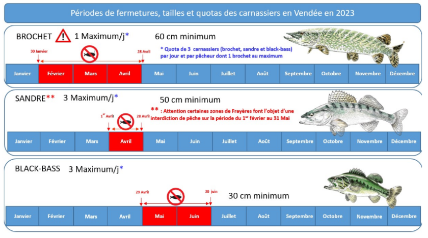 29 Avril 2023 Ouverture De La Pêche Du Brochet Et Du Sandre